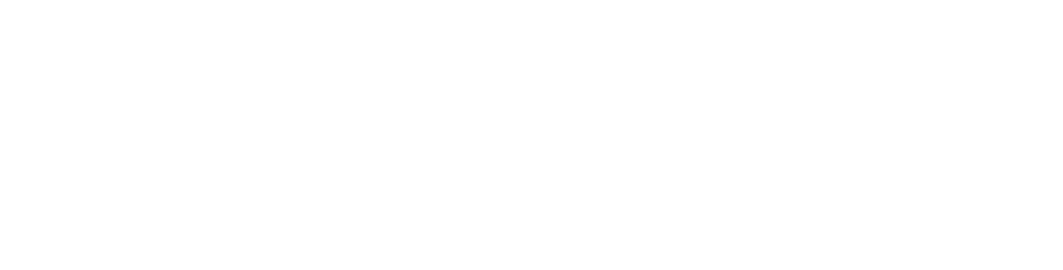Compensation & Data Governance - Total Rewards