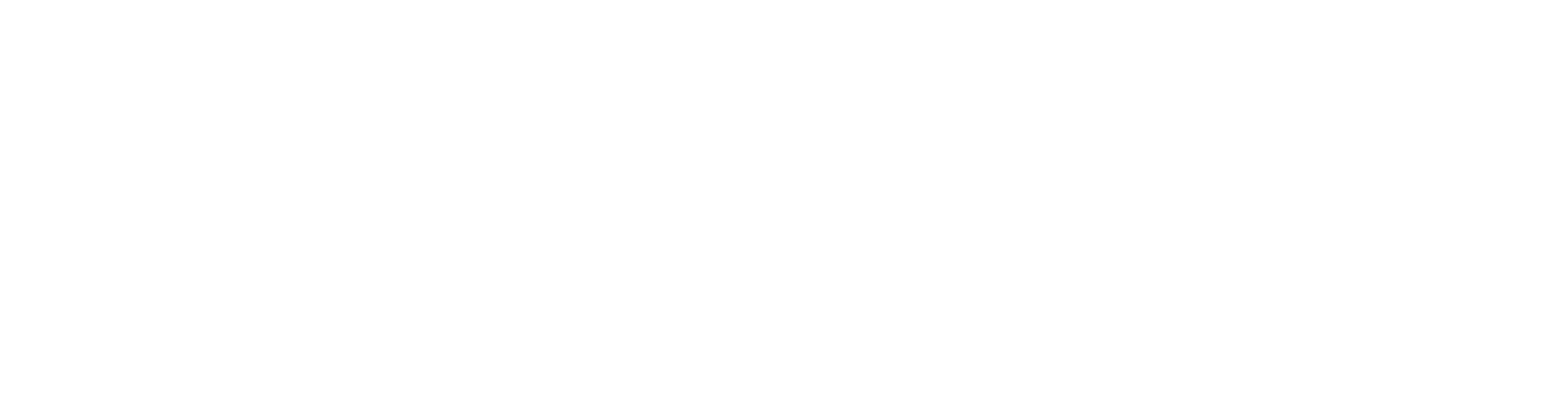 Compensation & Data Governance - Total Rewards